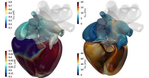 Virtual Heart Simulator Revolutionizes Cardiovascular Science And Healthcare Siam