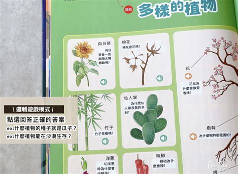 親子滿足孩子的求知慾與好奇心昌兒十萬個為什麼專注力訓練手按有聲書四季趣味桌遊手作布偶開箱分享 FanFan美好生活