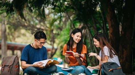 Matlab Vs Python Choosing The Right Tool For Data Analysis