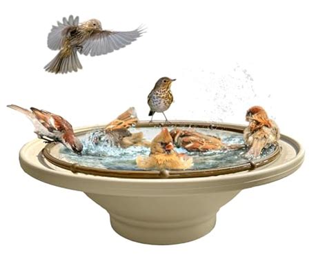 I Tested The Tabletop Hummingbird Bath Fountain Heres Why Its A