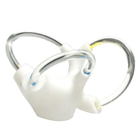 Dhbeimei Human Ear Semicircular Canal Model 5x Cochlea India Ubuy