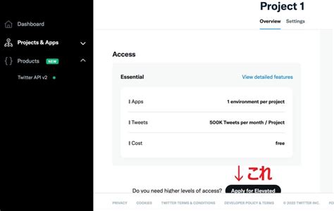 【2022年最新】twitter Api Elevated Accessを申請してみたのでざっくりとまとめる Kossori Hissori Medamayaki