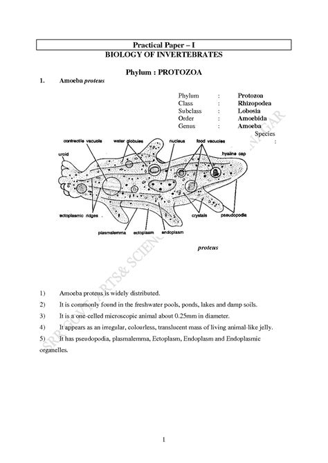 Solution Zoology 1st Semester Manual Practical Record Studypool