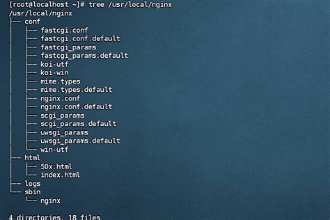 Nginx 目录结构与配置文件解析 】nginx目录结构 Csdn博客