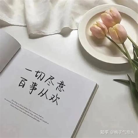 哪句话让你心生安宁 知乎