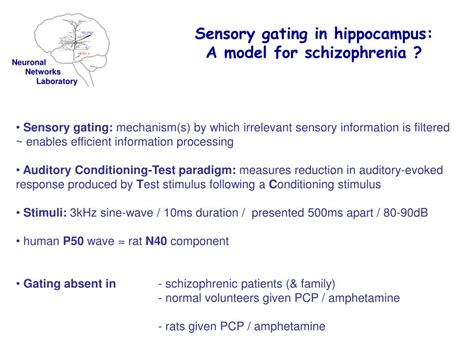 Ppt Sorting The Connections With Multi Electrode Neuronal Ensemble Recording Techniques