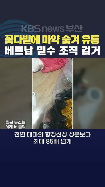 20240624노준철기자 꽃다발마약 합성대마 마약밀수조직 베트남유학생 베트남마약밀수조직 부산본부세관 Youtube