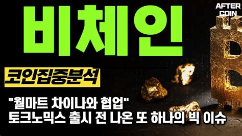 비체인 코인 월마트 차이나와 협업 토크노믹스 출시 전 나온 또 하나의 빅 이슈 비체인분석 비체인시세 비체인코인전망 Youtube