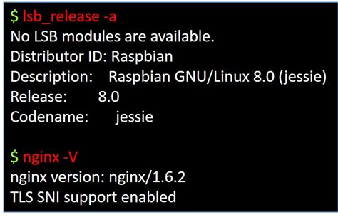 Raspberry Pi Nginx で構築した Web サーバーのバージョンアップ アラコキからの Raspberry Pi 電子工作