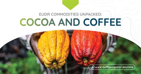 deforestation monitoring sustainable forestry solutions eudr