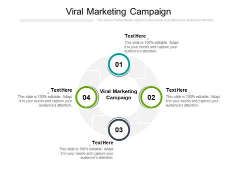 Viral Marketing Campaign Ppt Powerpoint Presentation Slides Example Introduction Cpb