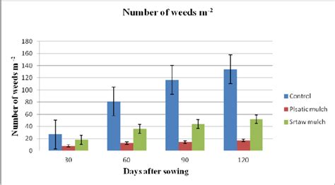 Effect Of Mulching Strageties And Irrigation Intervals On Number Of