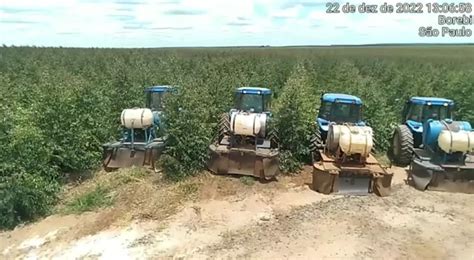 Ely Goularth De Paula Posted On Linkedin