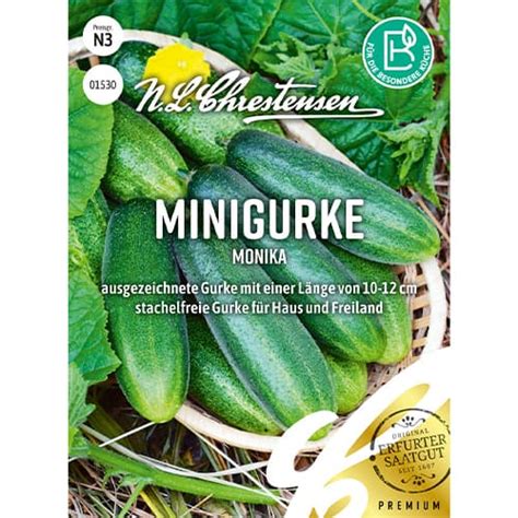 Minikurgid Monika 86066 Seemned Osta Soodsamalt GradinaMax Ee