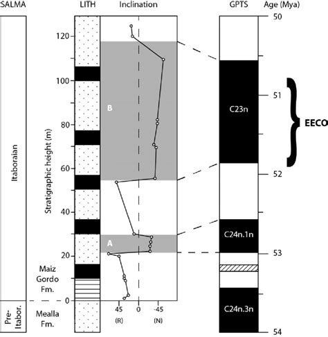 Age Interpolation Model Based On Magnetostratigraphic Boundaries And Download Scientific