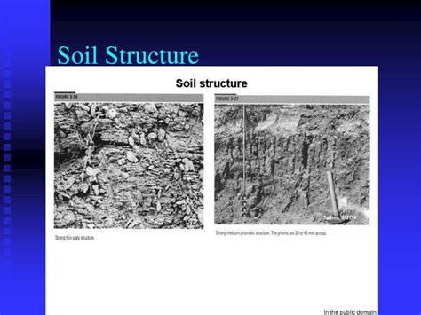 Ppt Soil Texture And Structure Powerpoint Presentation Free Download