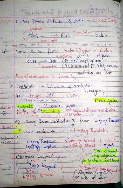 Solution Molecular Basis Of Inheritance Class 12th Chapter 6 For Neet