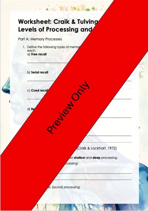 Craik And Tulving 1975 Psychology Worksheet Levels Of Processing