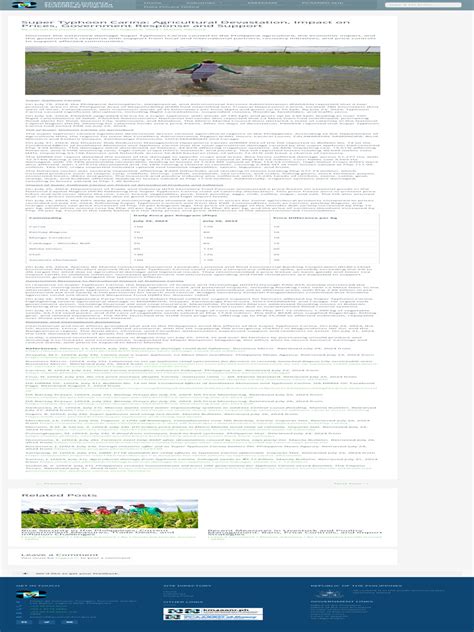 Super Typhoon Carina Agricultural Devastation Impact On Prices