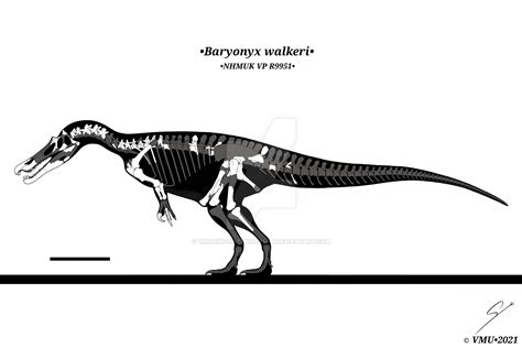 Baryonyx Walkeri By Vimmemoriaeuniversum On Deviantart
