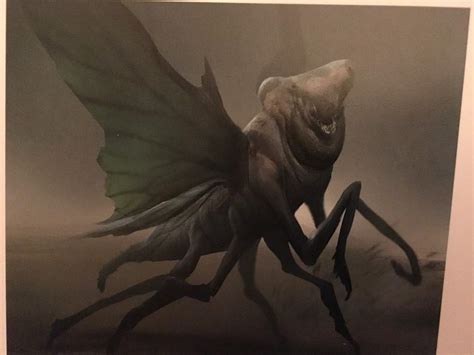 The Evolution Creation Of The Bowtruckle Harry Potter Amino