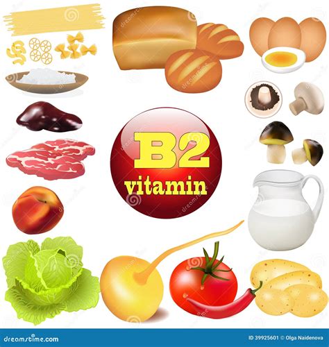 Витамина B 2 в продуктах растений и животных начало Иллюстрация вектора ...
