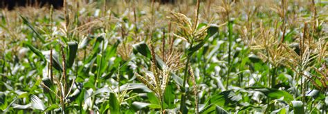 Organic Farming Research Foundation Linkedin