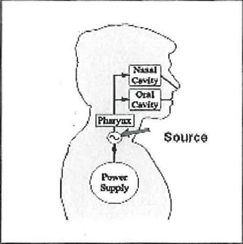 Key Components Of The Source Filter Model Of Speech Production Adapted Download Scientific
