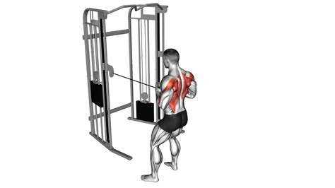 Cable Standing Row Ultimate Guide And Tips