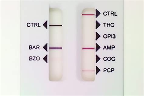 The Multiplex Assay Part 1 Where Are All The Multiplexed Lfis Dcn Dx