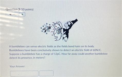 Solved A Bumblebee Can Sense Electric Fields As The Fields Chegg