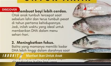 Intip 7 Manfaat Ikan Untuk Anak yang Wajib Kamu Tahu - Discover