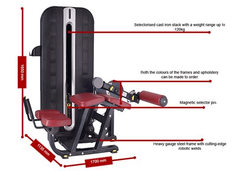 Leg Curls Diagram