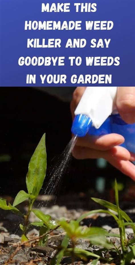 Say Goodbye To Weeds Forever With This Homemade Weed Killer Artofit