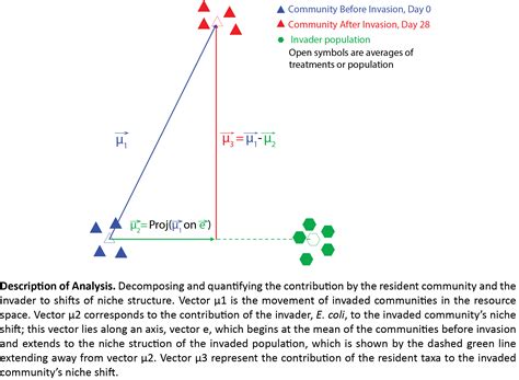 Github Cyrusmallonprojectionanalysis Projection Of N Dimensional
