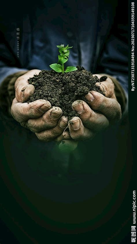 植树节宣传手捧泥土树苗海报图片设计图海报设计广告设计设计图库昵图网