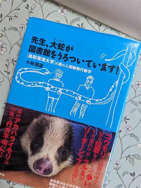 【こんな本読んでみた】先生、大蛇が図書館をうろついています！ エイせんせい癒され日記