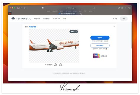 [팁] 온라인에서 무료 이미지 배경 제거하기 remove bg 누끼 따기