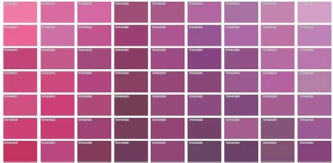 Purple And Pink Color Scheme