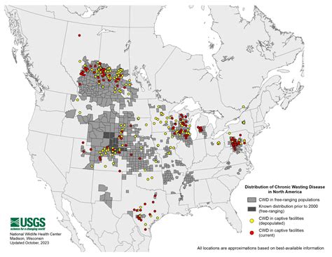 Yellowstone Faces Zombie Deer Disease Threat Scientists Warn