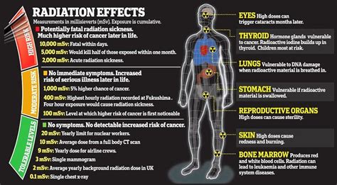 How To Survive The Fallout Radiation Exposure Radiation Dose Radiation