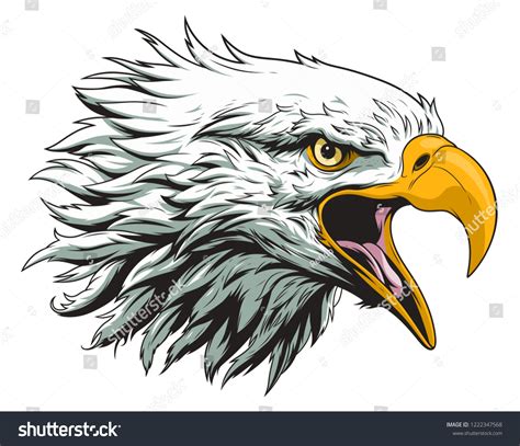 Bald Eagle Head Vector Illustration Stock Vector Royalty Free