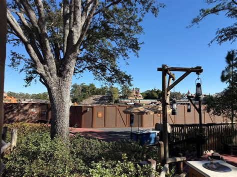 More Trees Removed For Piston Peak National Park At Magic Kingdom Wdw