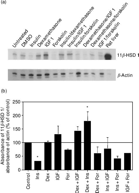 Figure 1 From 11β Hydroxysteroid Dehydrogenase Type 1 Expression In 2s