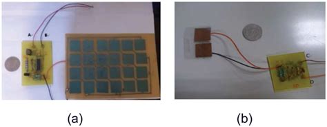 Real Pictures Of Row Array Electrodes A Active End And B Passive