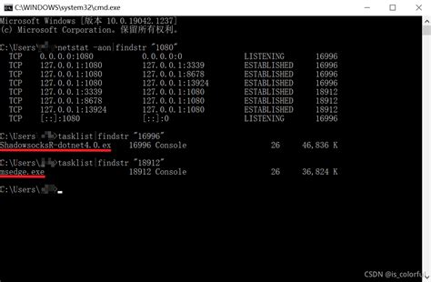 【解决问题】windowsxxx端口已被占用：以 1080端口已被占用 为例如何查看本地1080端口占用情况 Csdn博客