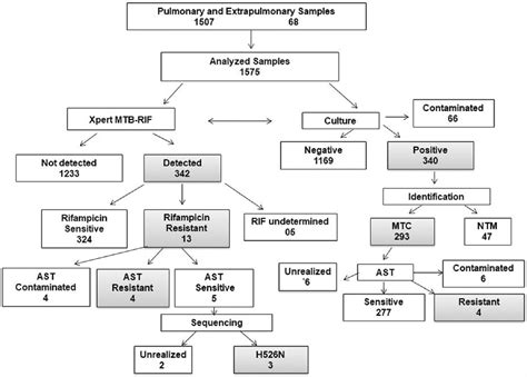 Evaluation Of Xpert Mycobacterium Tuberculosis Rifampicin Fo The