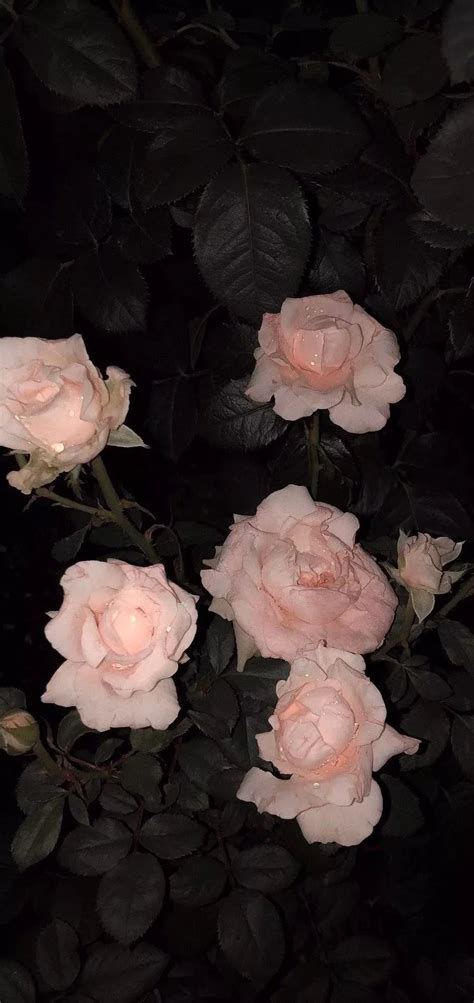 蜡笔小新壁纸 高清图片，堆糖，美图壁纸兴趣社区