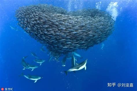 从零开始认识大模型一篇非从业者指南 知乎