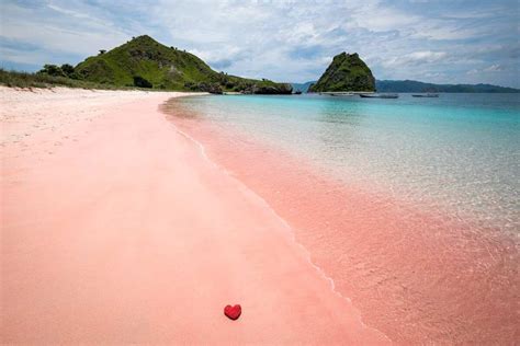 Pink Beach Komodo Islands Not So Secret Little Gem